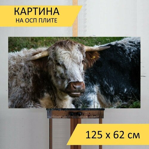 Картина на ОСП 125х62 см. "Корова, крупный рогатый скот, рога" горизонтальная, для интерьера, с креплениями