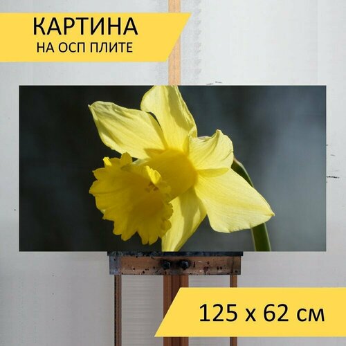 Картина на ОСП 125х62 см. "Нарцисс, жёлтый, цветок" горизонтальная, для интерьера, с креплениями