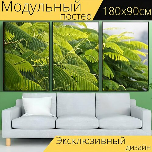 Модульный постер "Зеленый, фотосинтез, листья" 180 x 90 см. для интерьера