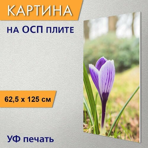 Вертикальная картина на ОСП "Цветок, природа, завод" 62x125 см. для интерьериа