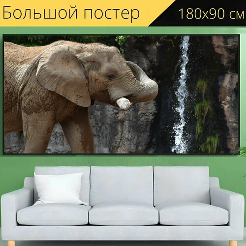 Большой постер "Зоопарк, животное, слон" 180 x 90 см. для интерьера