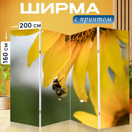 Ширма перегородка с принтом "Подсолнечник, цветок, лепестки" на холсте - 200x160 см. для зонирования, раскладная