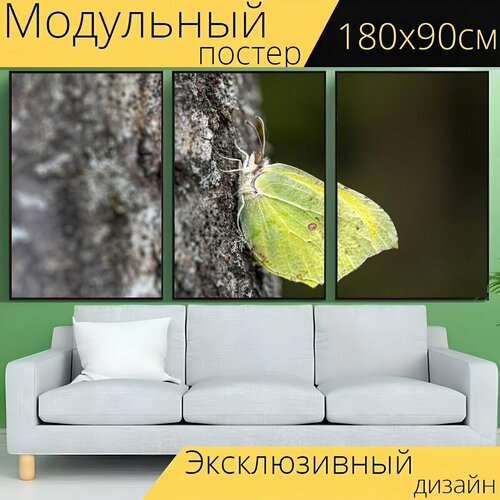 Модульный постер "Бабочка, насекомое, общей серы" 180 x 90 см. для интерьера