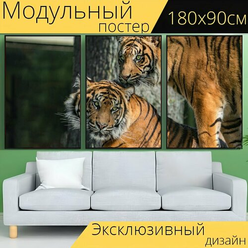 Модульный постер "Кот, дикая природа, хищники" 180 x 90 см. для интерьера