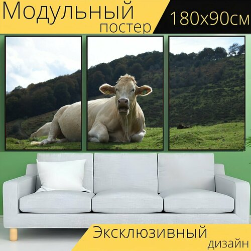 Модульный постер "Животные, корова, скот" 180 x 90 см. для интерьера