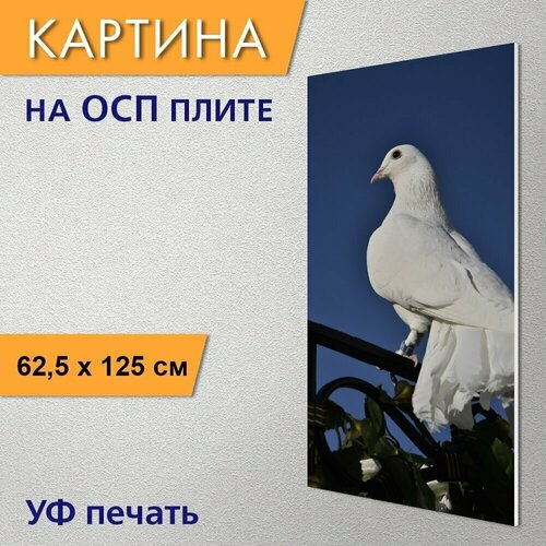 Вертикальная картина на ОСП "Птица, голубь, животное" 62x125 см. для интерьериа