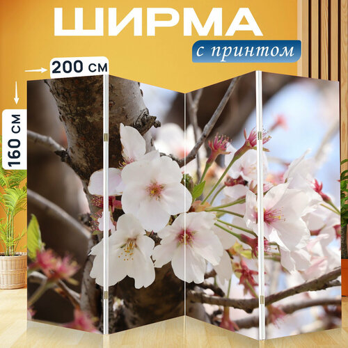 Ширма перегородка с принтом "Природные, цветы, весна" на холсте - 200x160 см. для зонирования, раскладная