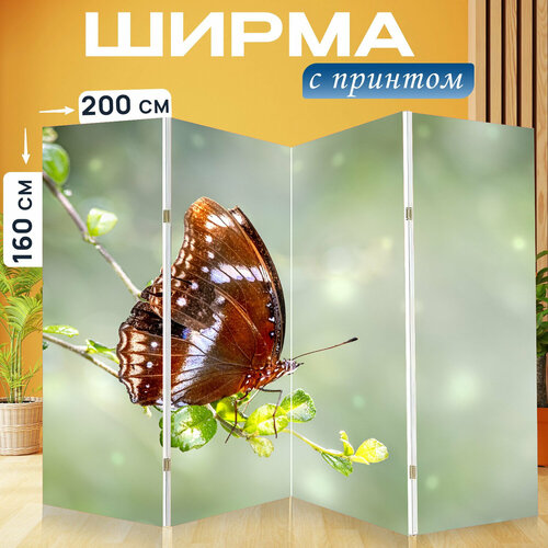 Ширма перегородка с принтом "Бабочка, крылья, растения" на холсте - 200x160 см. для зонирования, раскладная