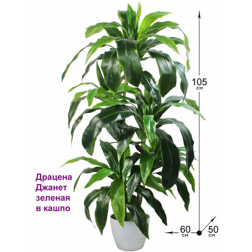 Искусственное растение Драцена Джанет Зеленая в кашпо от ФитоПарк