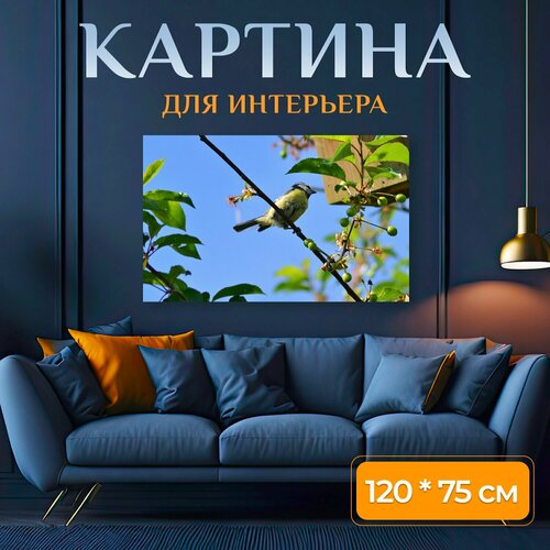 Картина на холсте "Лазоревка, дерево, певчая птица" на подрамнике 120х75 см. для интерьера