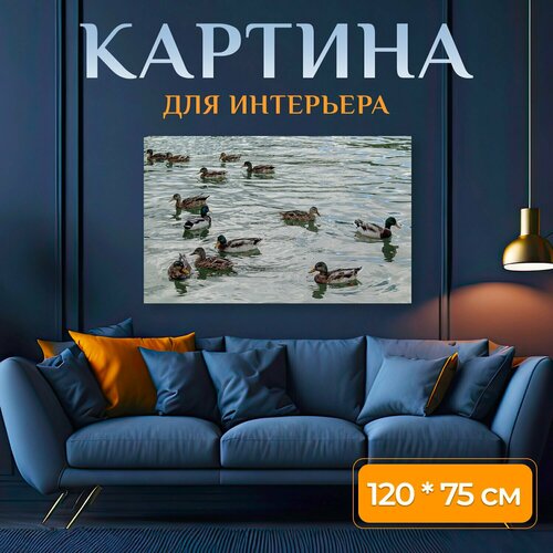 Картина на холсте "Утки, река, птицы" на подрамнике 120х75 см. для интерьера