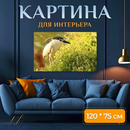 Картина на холсте "Птица, бали, цапля" на подрамнике 120х75 см. для интерьера