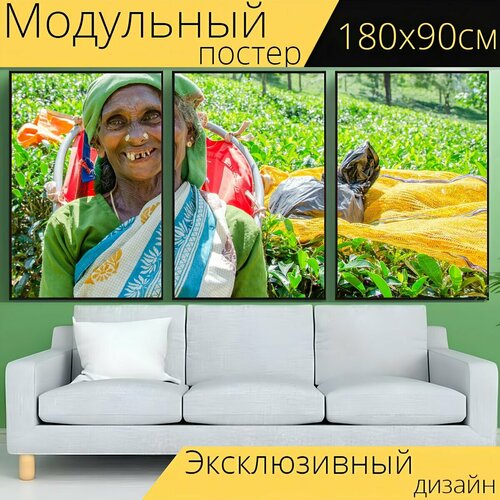 Модульный постер "Сбор чая леди, листья чая, работа" 180 x 90 см. для интерьера