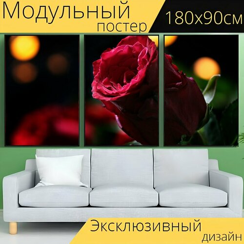 Модульный постер "Роза, боке, красная роза" 180 x 90 см. для интерьера