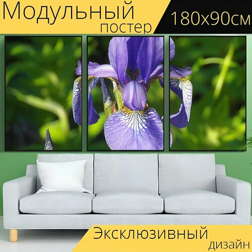 Модульный постер "Ирис, цветок, фиолетовый" 180 x 90 см. для интерьера