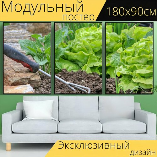 Модульный постер "Салат, садоводство, овощи" 180 x 90 см. для интерьера