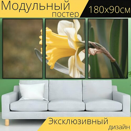 Модульный постер "Нарцисс, сад, желтый" 180 x 90 см. для интерьера