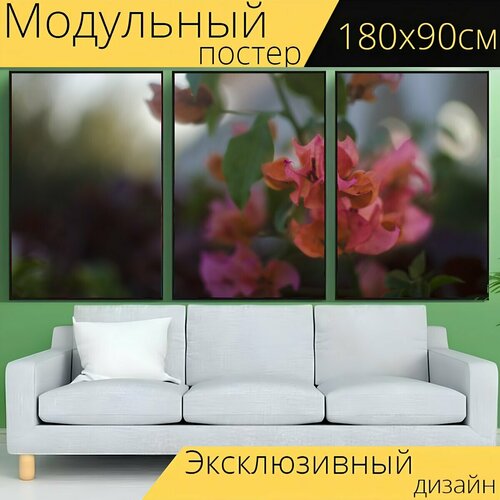 Модульный постер "Бугенвиллия, цветы, завод" 180 x 90 см. для интерьера