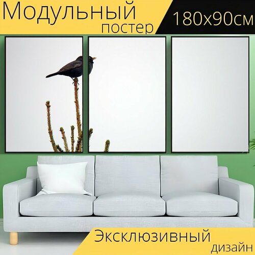 Модульный постер "Черный дрозд, птица, летучие" 180 x 90 см. для интерьера