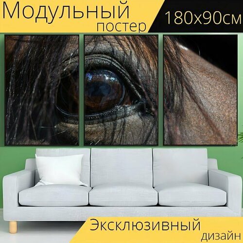 Модульный постер "Лошадь, глаз, крупным планом" 180 x 90 см. для интерьера