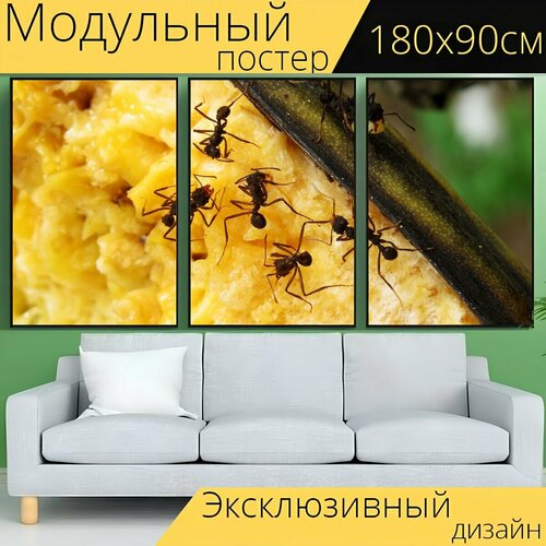 Модульный постер "Макрос, насекомые, муравьи" 180 x 90 см. для интерьера