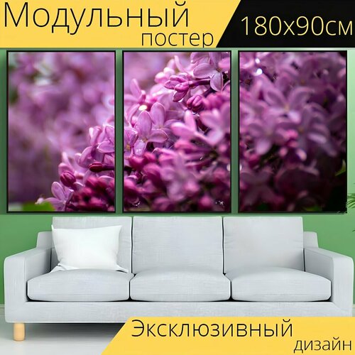 Модульный постер "Сирень, цветы, фиолетовый" 180 x 90 см. для интерьера