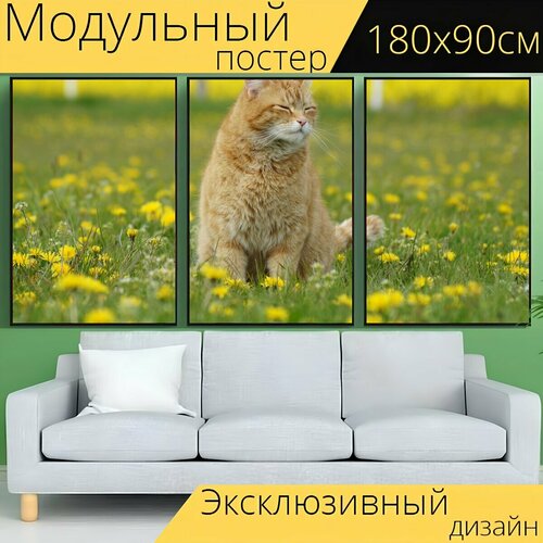 Модульный постер "Кошка, рыжий кот, тигр" 180 x 90 см. для интерьера
