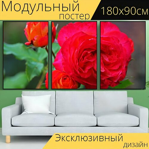 Модульный постер "Роза, сказка роза, завод" 180 x 90 см. для интерьера