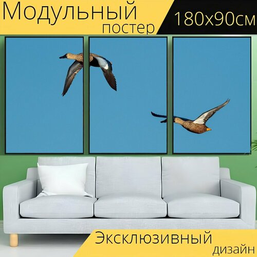 Модульный постер "Лопатка для мыса, утки, птицы" 180 x 90 см. для интерьера