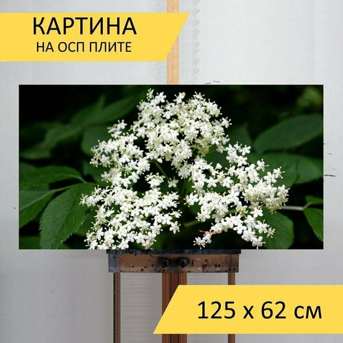 Картина на ОСП 125х62 см. "Цветы, природа, весна" горизонтальная, для интерьера, с креплениями