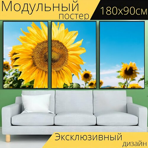 Модульный постер "Подсолнечник, солнечный день, небо" 180 x 90 см. для интерьера