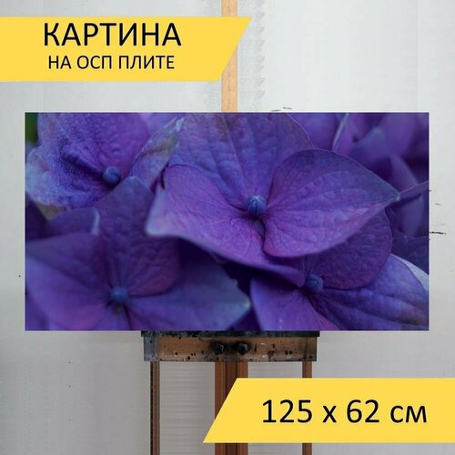 Картина на ОСП 125х62 см. "Фиолетовый, цветок, цвести" горизонтальная, для интерьера, с креплениями