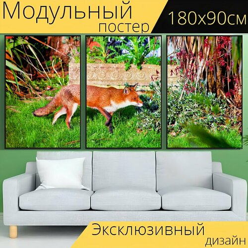 Модульный постер "Лиса, животное, природа" 180 x 90 см. для интерьера