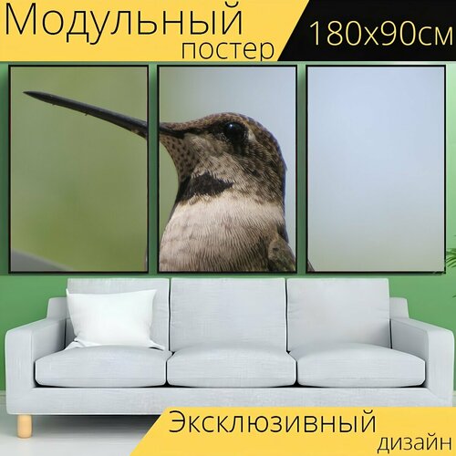 Модульный постер "Птица, колибри, закрыть" 180 x 90 см. для интерьера