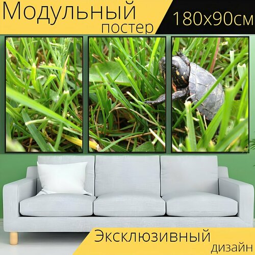Модульный постер "Черепаха, трава, детка" 180 x 90 см. для интерьера