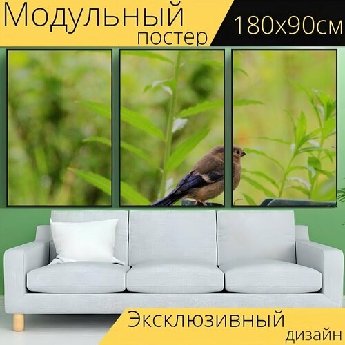 Модульный постер "Птица, садовая птица, певчая птица" 180 x 90 см. для интерьера