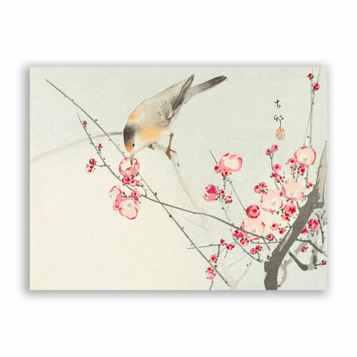 Картина на холсте, репродукция / Косон Охара - Songbird on blossom branch / Размер 40 x 53 см