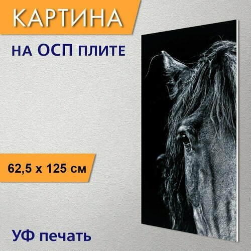 Вертикальная картина на ОСП "Лошадь, портрет, пони" 62x125 см. для интерьериа