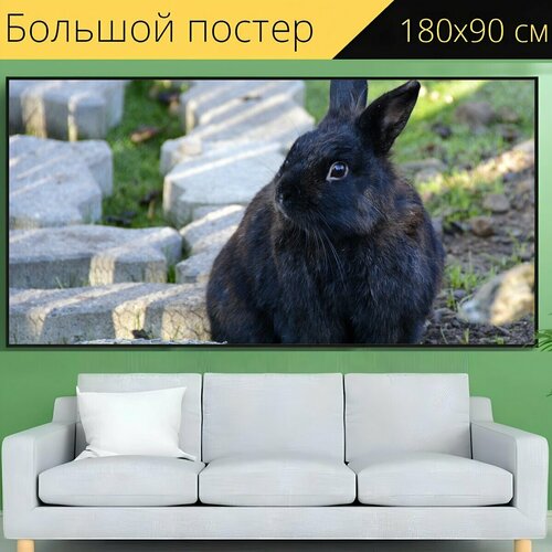 Большой постер "Кролики, кролик, животное" 180 x 90 см. для интерьера