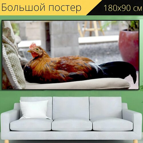 Большой постер "Курица, петух, птица" 180 x 90 см. для интерьера