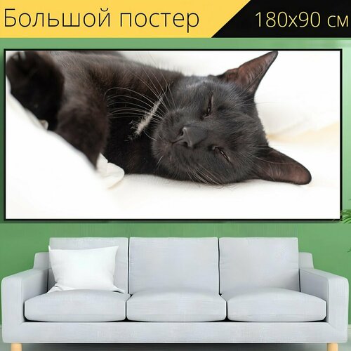 Большой постер "Котенок, кошка, черный кот" 180 x 90 см. для интерьера