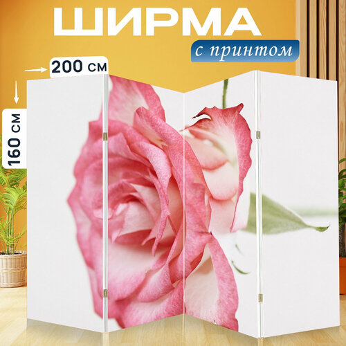 Ширма перегородка с принтом "Роза, летом, розовый" на холсте - 200x160 см. для зонирования, раскладная