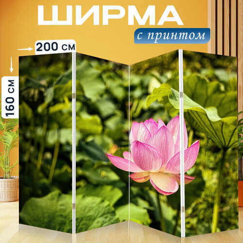 Ширма перегородка с принтом "Цветок лотоса, водяные лилии, лилии" на холсте - 200x160 см. для зонирования, раскладная