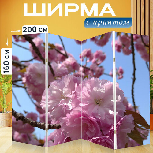 Ширма перегородка с принтом "Цветок, вишни в цвету, весна" на холсте - 200x160 см. для зонирования, раскладная