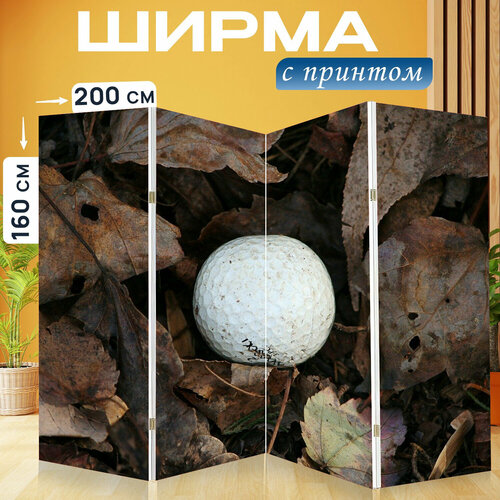 Ширма перегородка с принтом "Мяч для гольфа, дафф, потерянный" на холсте - 200x160 см. для зонирования, раскладная