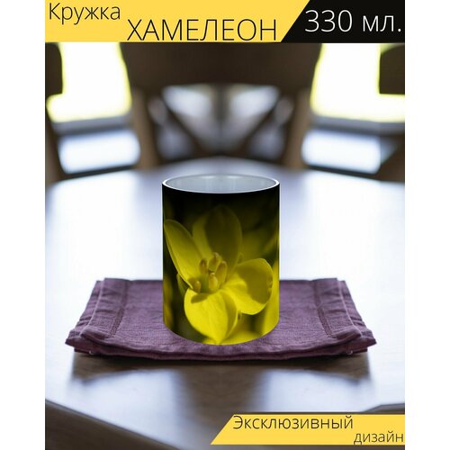 Кружка хамелеон с принтом "Цветение кале, капуста, природа" 330 мл.