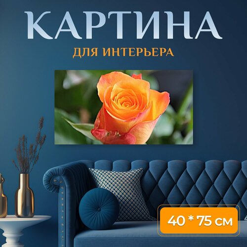 Картина на холсте "Роза, цвести, апельсин" на подрамнике 75х40 см. для интерьера