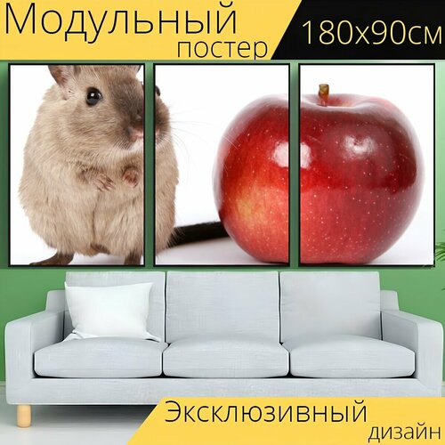 Модульный постер "Животное, яблоко, существо" 180 x 90 см. для интерьера