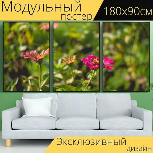 Модульный постер "Цветок, природа, розовый" 180 x 90 см. для интерьера