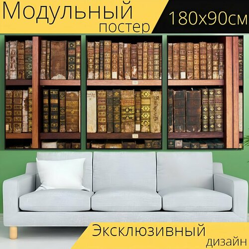 Модульный постер "Книги, музей, древний" 180 x 90 см. для интерьера